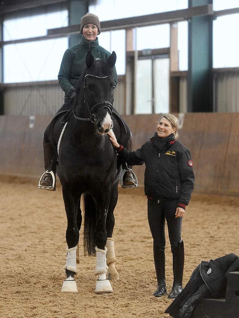 Neuer Junghengst vom Secret x Follow Me OLD auf dem Letter Berg ...